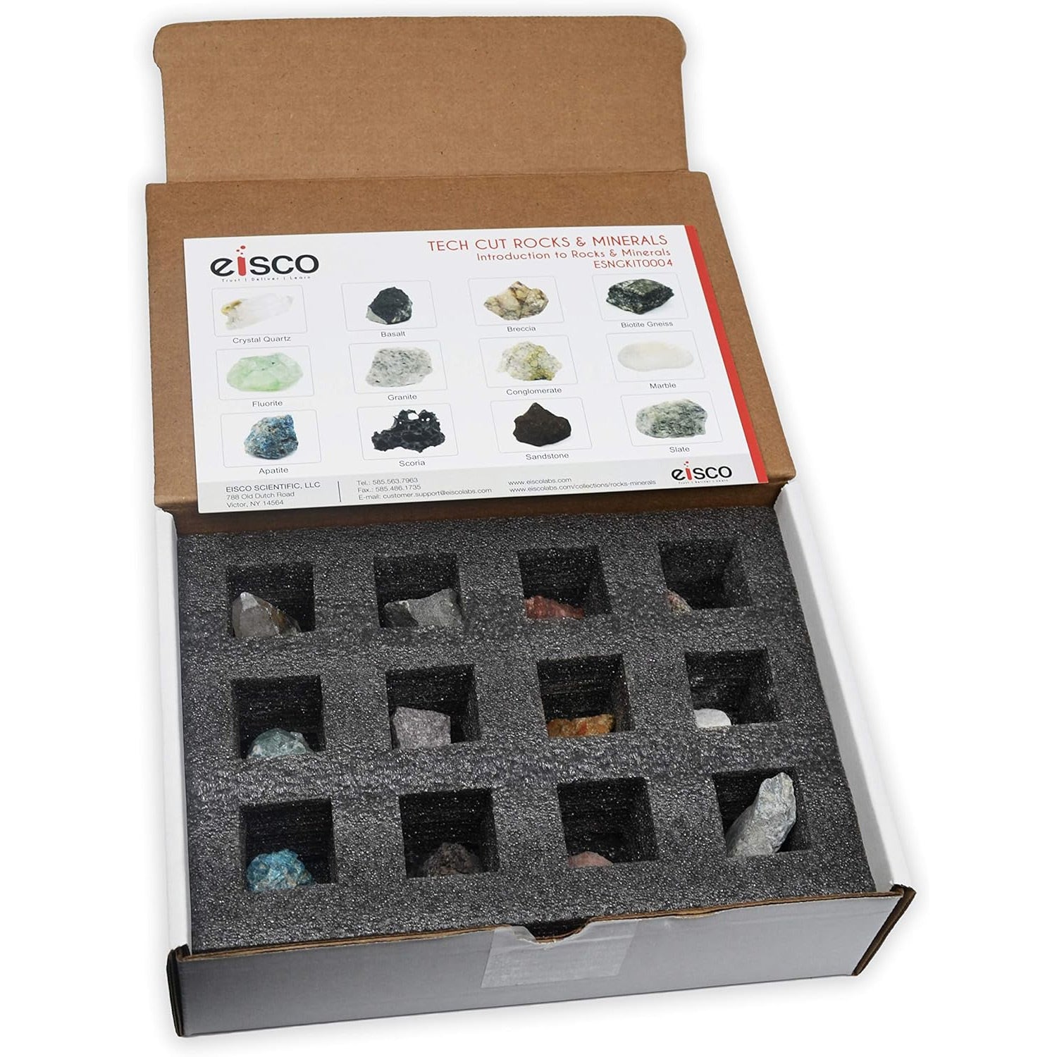 Tech Cut Rock & Mineral Kit – 12 Geology Specimens with Identification ...